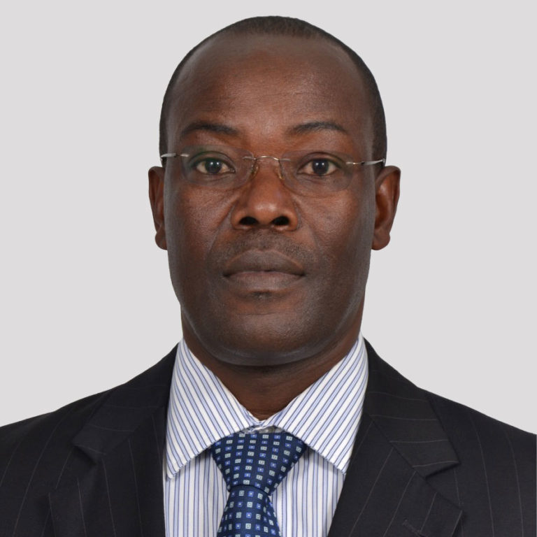 Steering Committee - World Anthropological Union - WAU